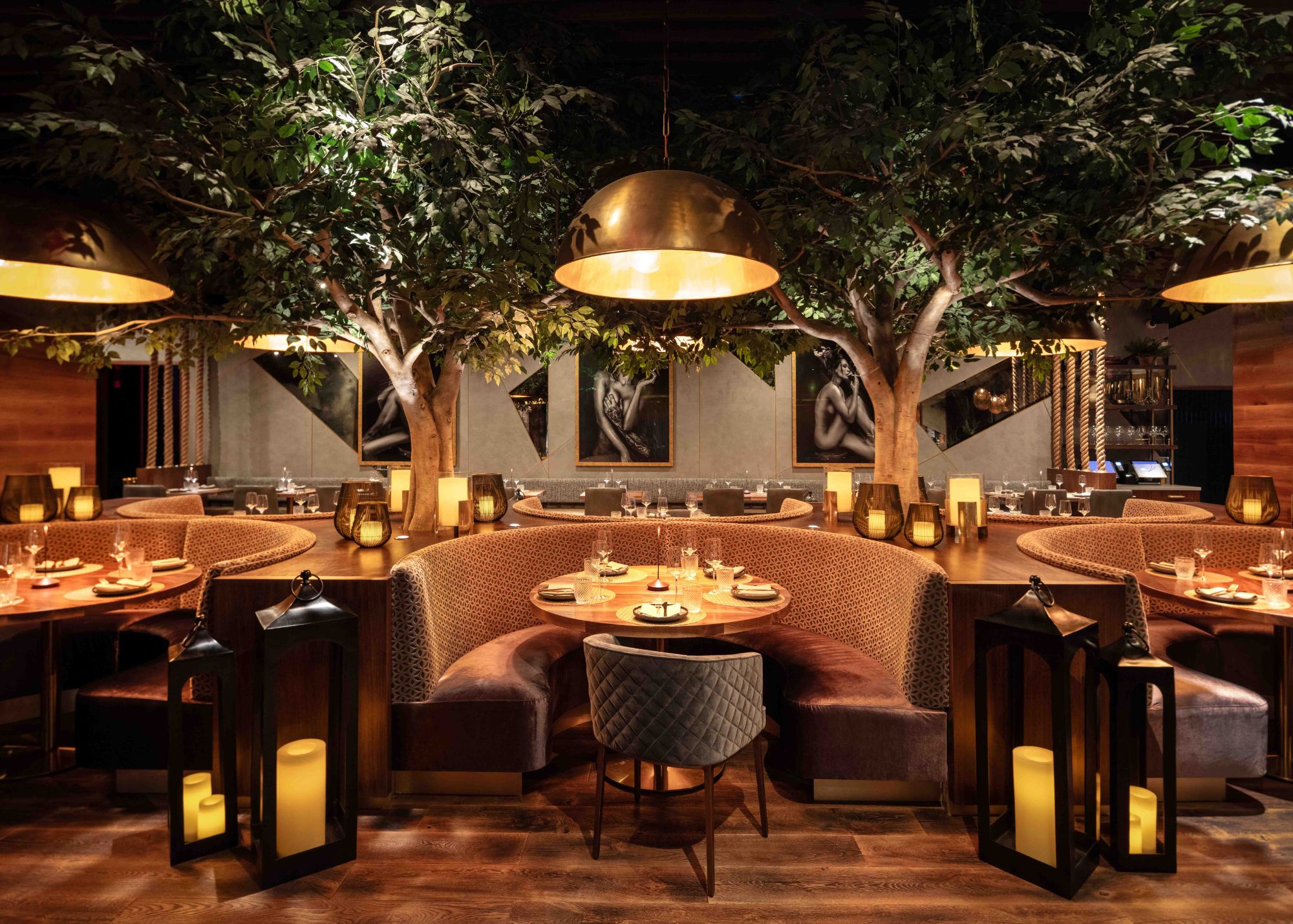 Toca Madera - Abel Design Group